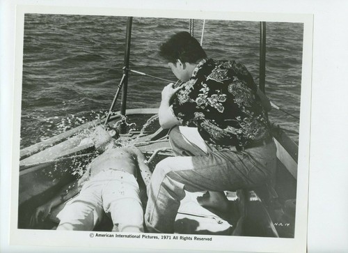 8 x 10 Film Nue Paradis 1957 Richard Denning, beverly Garland Roger ...