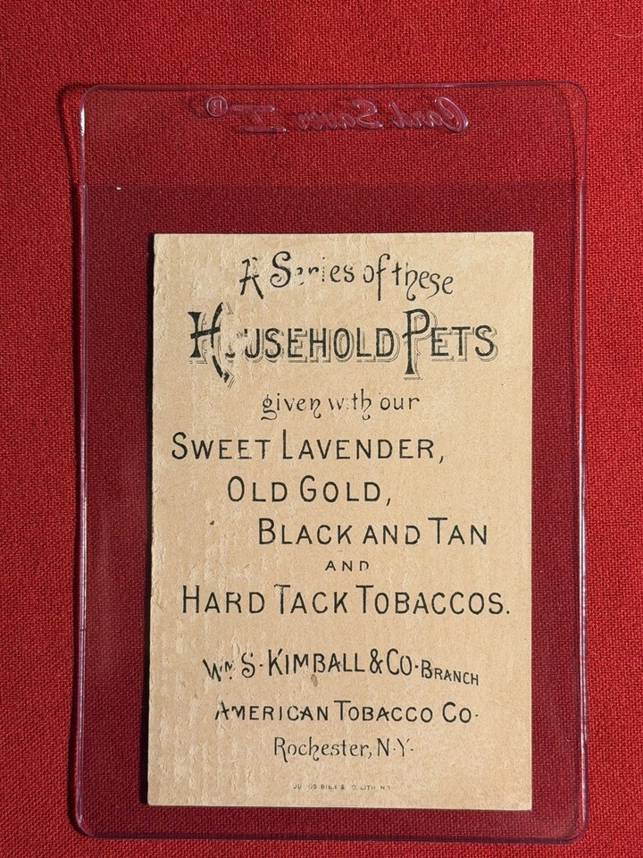 1891 KIMBALL (ATC) N194-HOUSEHOLD PETS-PET BILLY GOAT-X-LARGE CARD-VERY ...