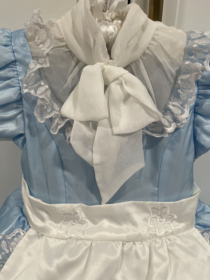 CHASING FIREFLIES DISNEY GIRLS SZ 6 ALICE IN WONDERLAND COSTUME DRESS ...