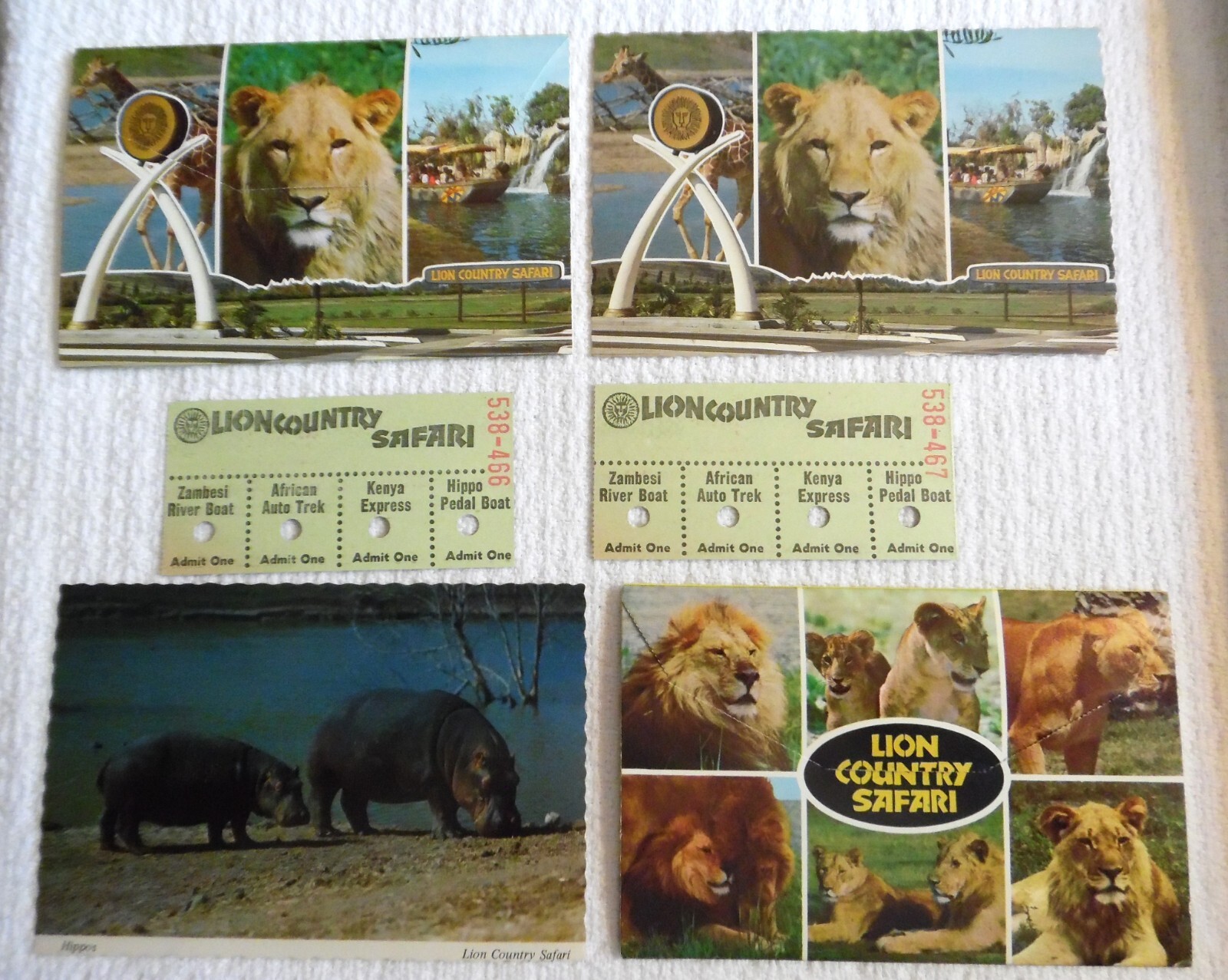 Vintage LION COUNTRY SAFARI Postcard Booklets POSTCARDS Souvenir ...