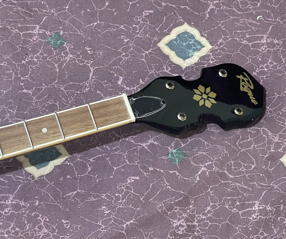 Rogue B30 5-String Banjo Easy Project | eBay