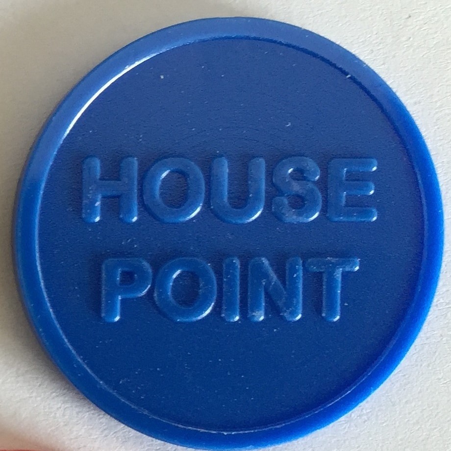 HOUSE POINT TOKENS PLASTIC HOME, SCHOOL, REWARD - BAG OF 100 - 5 ...