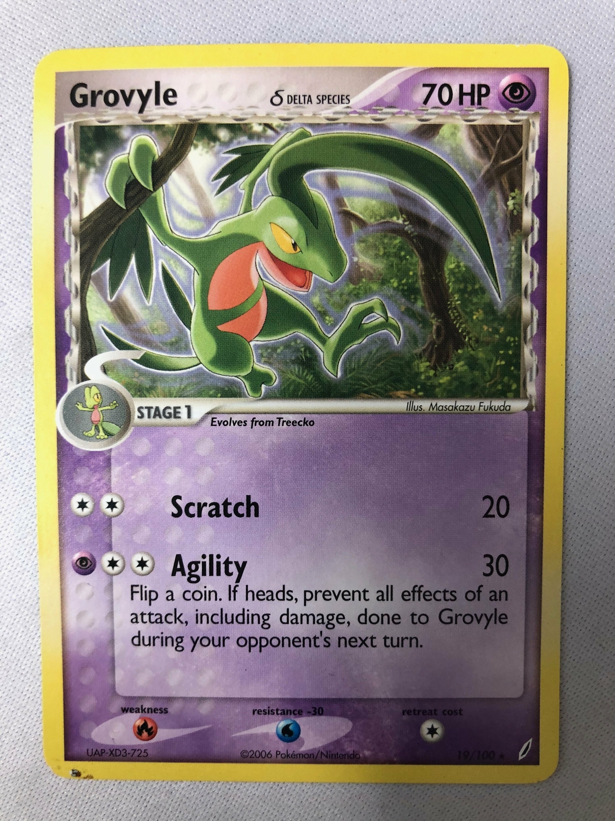 Grovyle Card