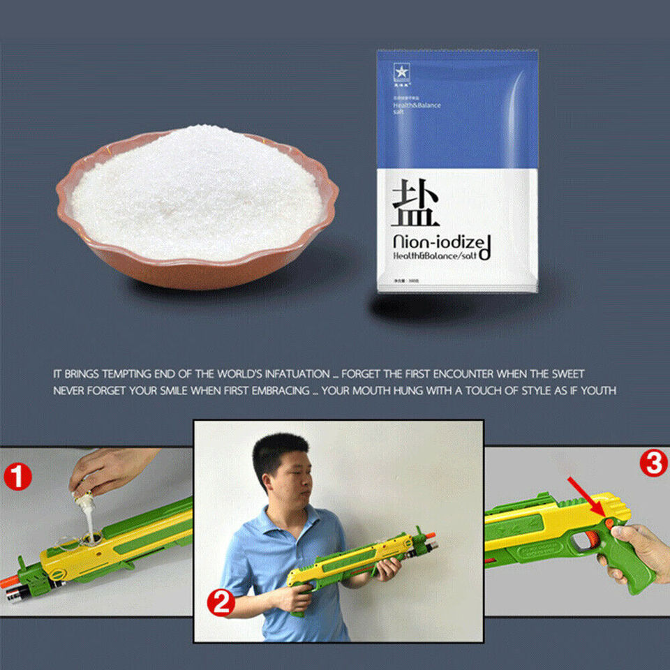 Pump Action Salt Shotgun Pest Killer Gun Bug insects killer Fly Pest ...