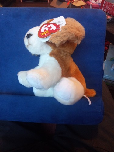 New 2020 TY Beanie Baby 6" BARKER the Spaniel Dog Stuffed Animal Toy ...