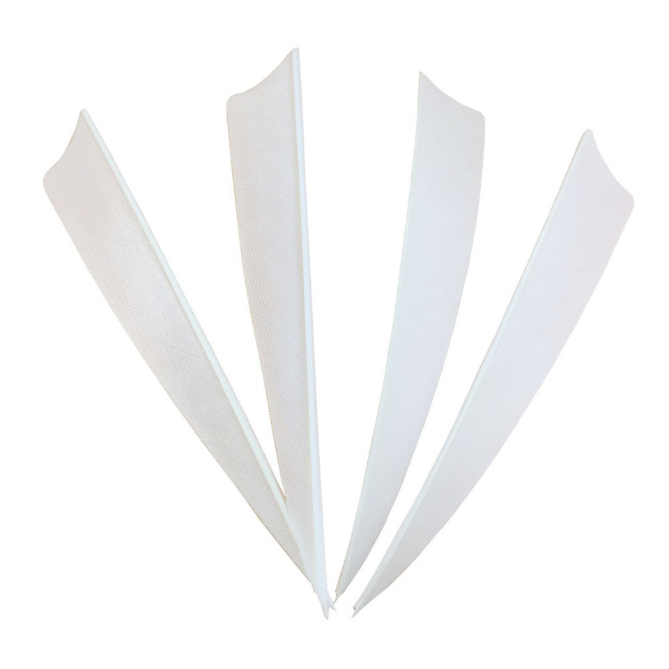 5inch Shield White Vanes Fletches Fletching Feathers RW - 50PCS | eBay