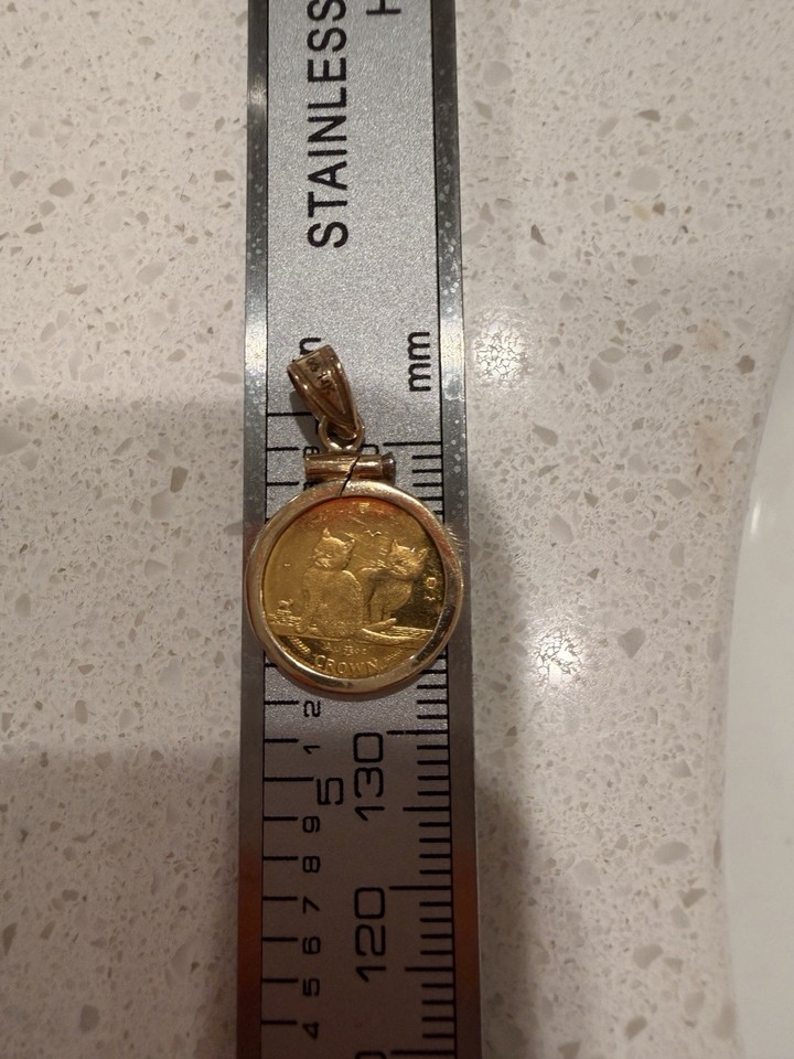 24k Yellow Gold Isle of Man Cat Coin On A 14k Bezel Pendant | eBay