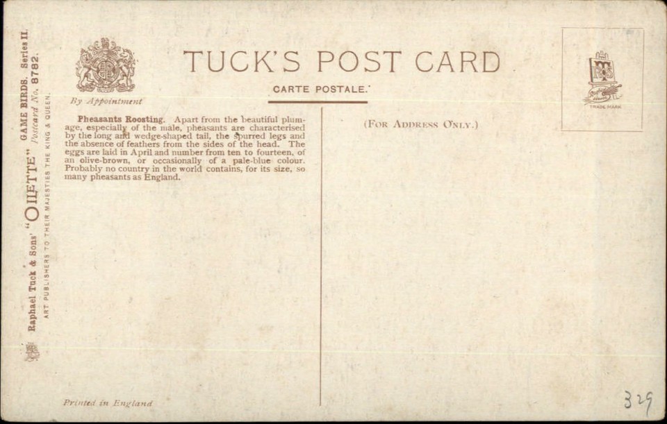 TUCK Game Birds c1910 Postcard PHEASANTS ROOSITING | eBay
