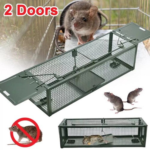 Rat Trap Double Door Mouse Trap Rat Catcher Humane Live Heavy Duty Bait Cage | eBay UK