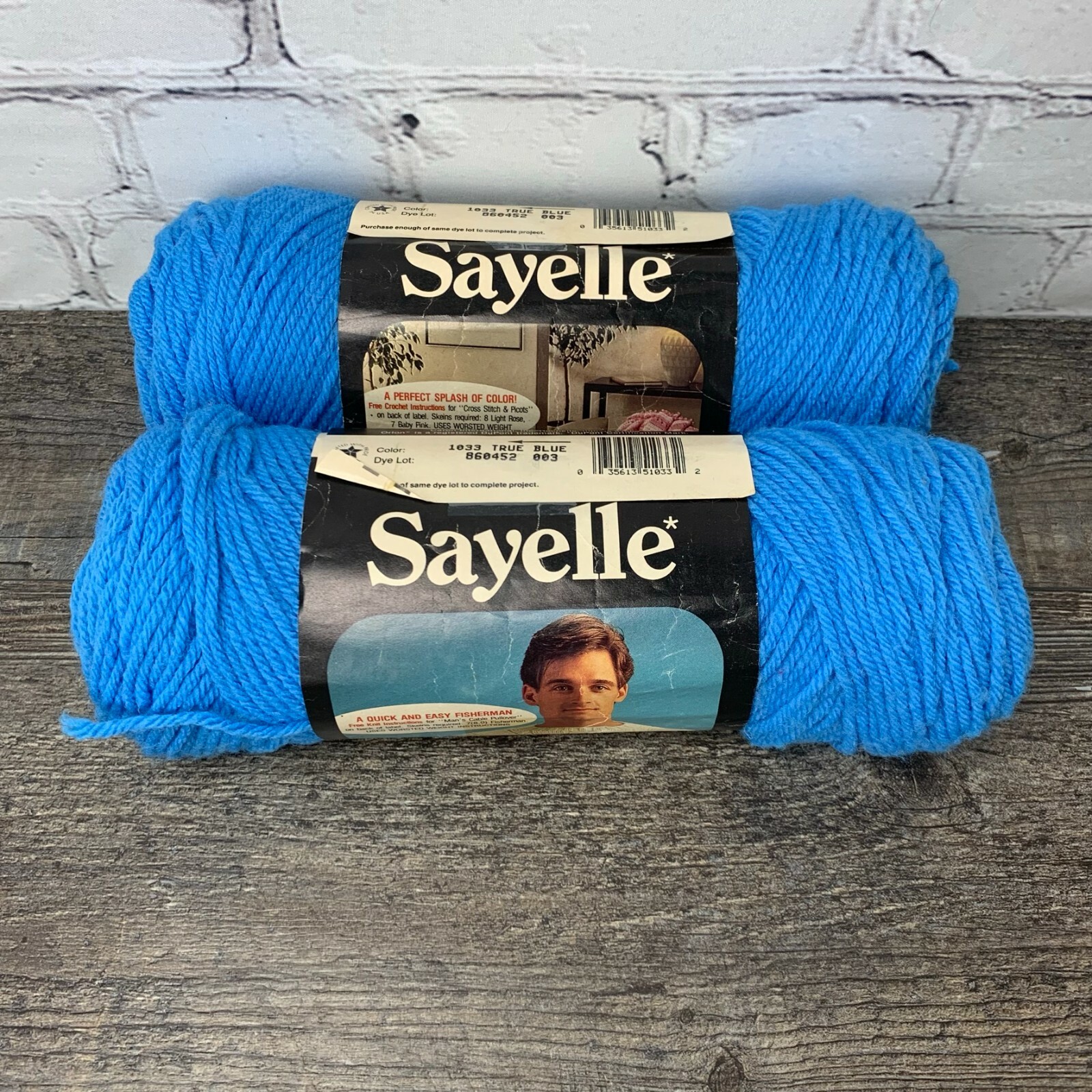 Caron Sayelle Orlon 4-Ply Worsted Yarn 3.5oz #1033 True Blue, 2 Skeins ...
