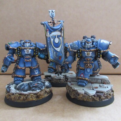 Space Marine Centurion Devastator Squad Citadel Pro Painted Warhammer ...