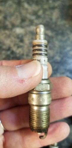 Open Box of 8 Bosch Platinum Spark Plugs HR8DPX ~ R6 748 (Lot 185) | eBay