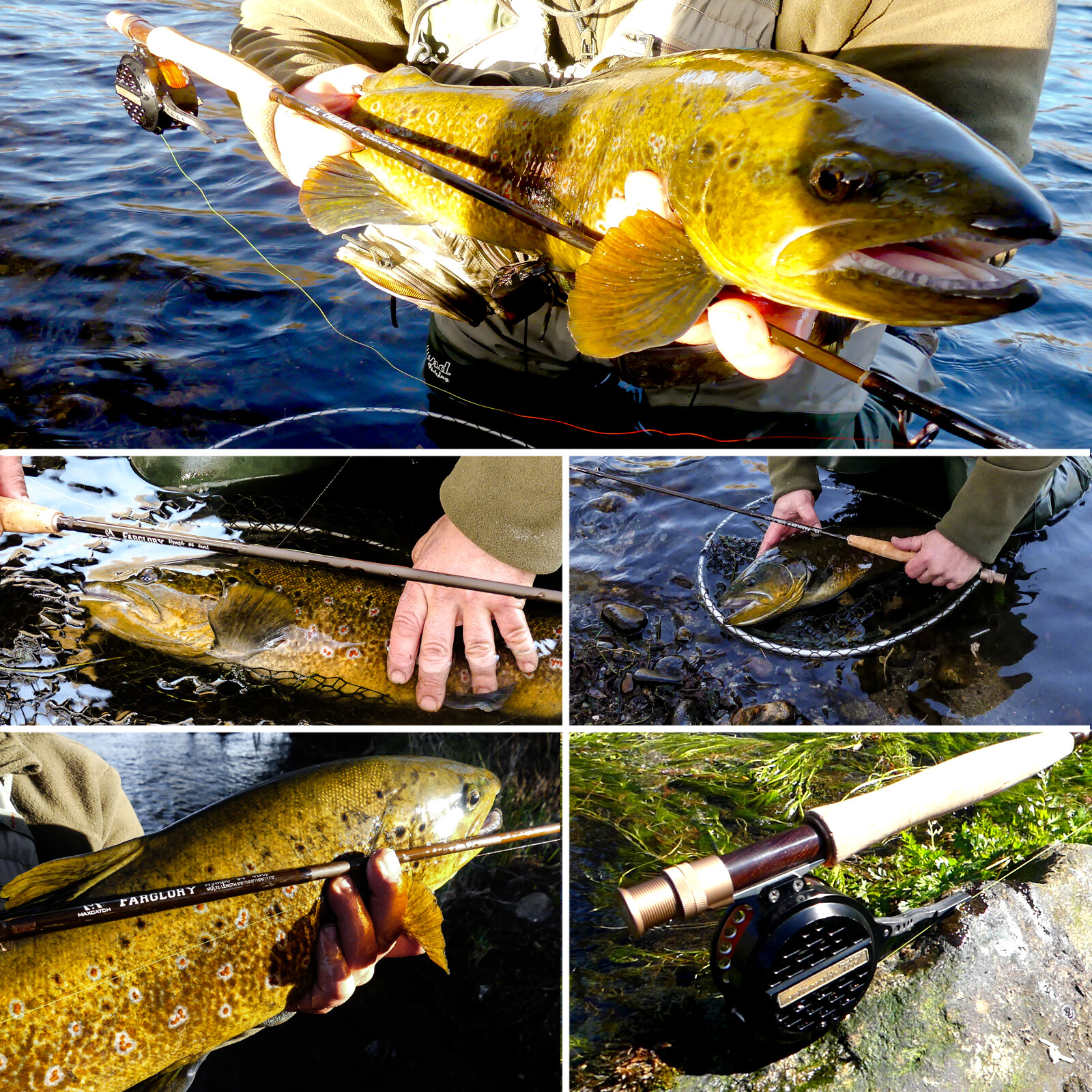 Maxcatch Automatic Fly Fishing Reel Super Light CNC-Machined Aluminum ...