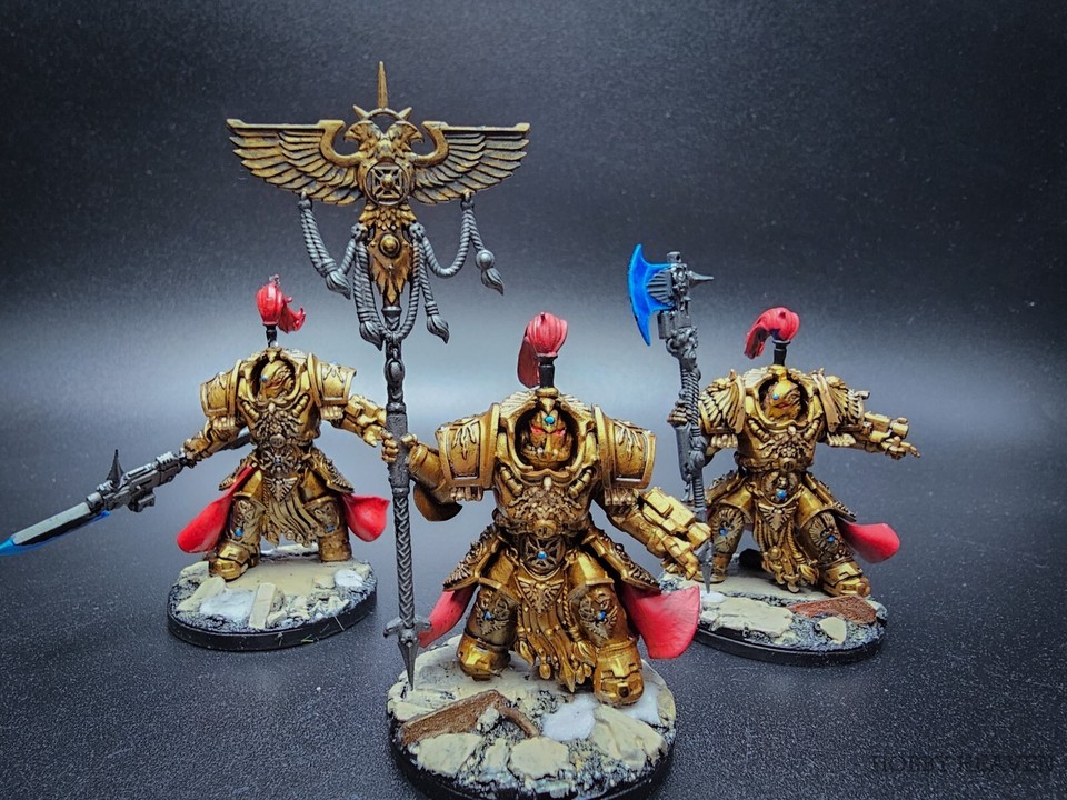 Warhammer 40k Adeptus Custodes Allarus Terminators x3 #3 Painted ...