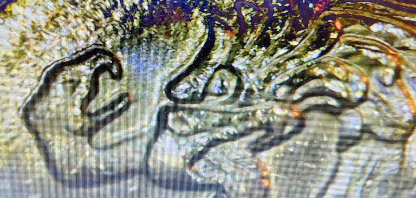 Error in $20 PESOS COIN MONEDAS 2021 BICENTENARIO INDEPENDENCIA ...