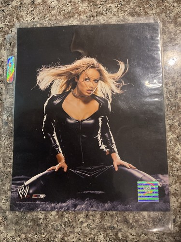 STACY KEIBLER WWE WCW 8x10 Photo W/ WWE Holo. | eBay