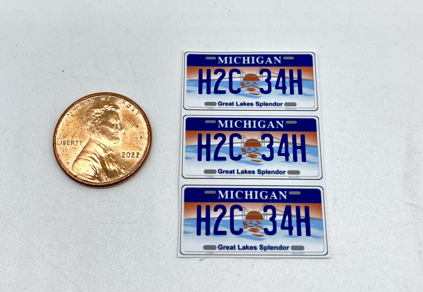 1/10 scale Michigan Lake Splendor license plate decals for your r/c car ...