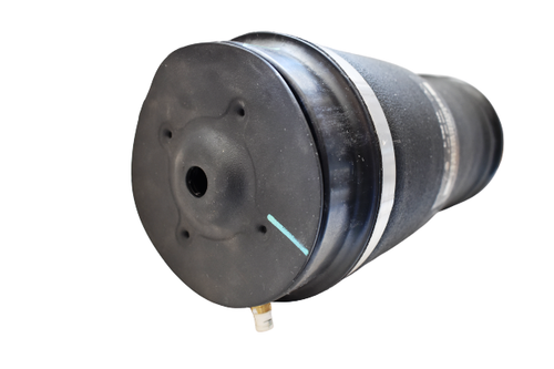 OEM 2015-2019 Mercedes-Benz LEFT or RIGHT Side Suspension Air Spring ...