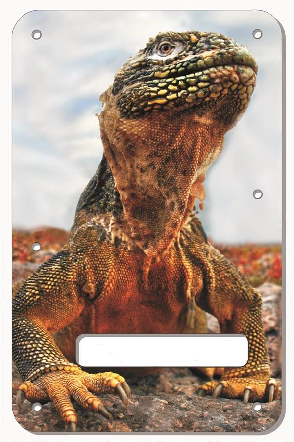 Stratocaster Tremolo Trem Cover Custom Fender Graphical Guitar Lizard ...