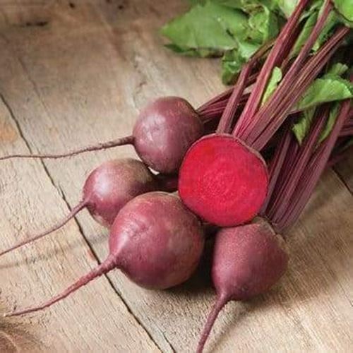 BEETROOT Red Ace F1 100 seeds HYBRID vegetable garden SPRING AUTUMN ...