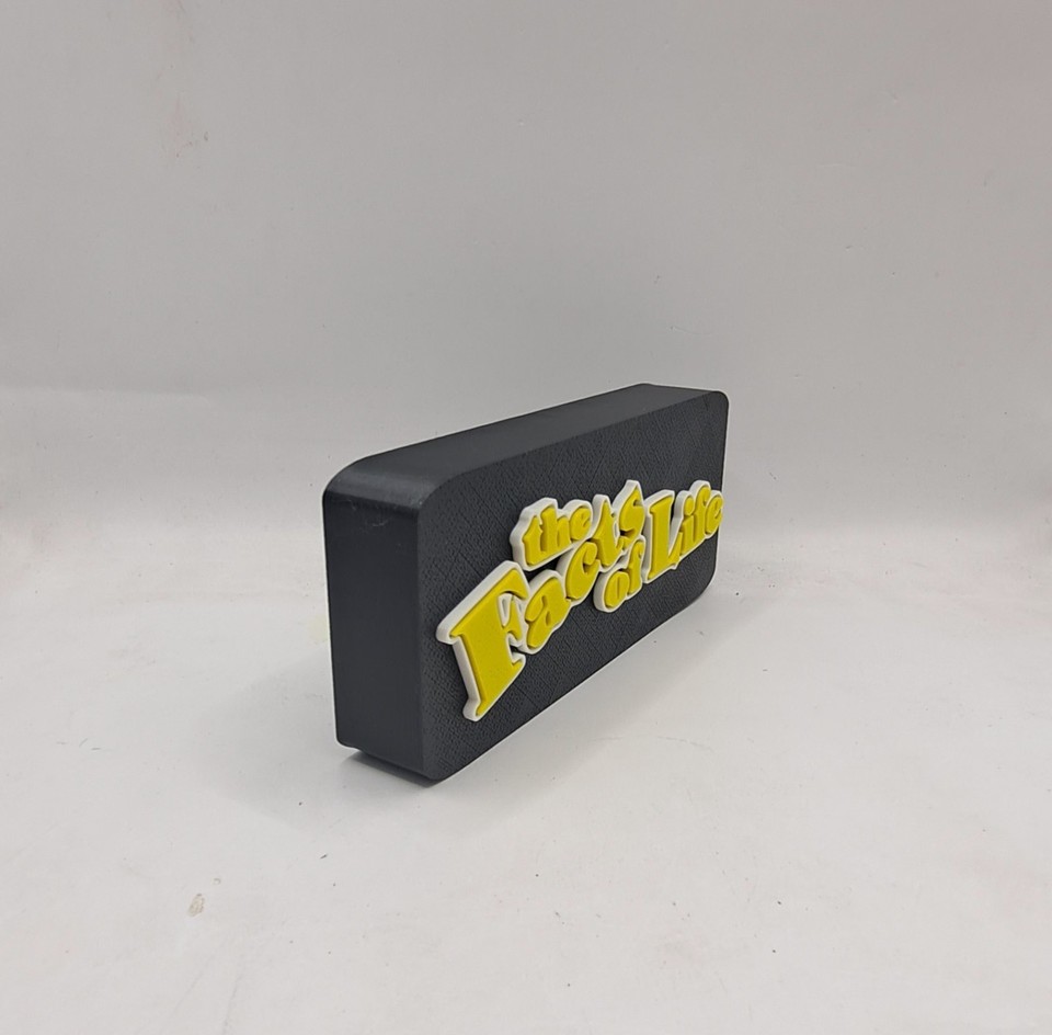 1980s TV Show Facts of Life Sign Shelf Desk Art | eBay