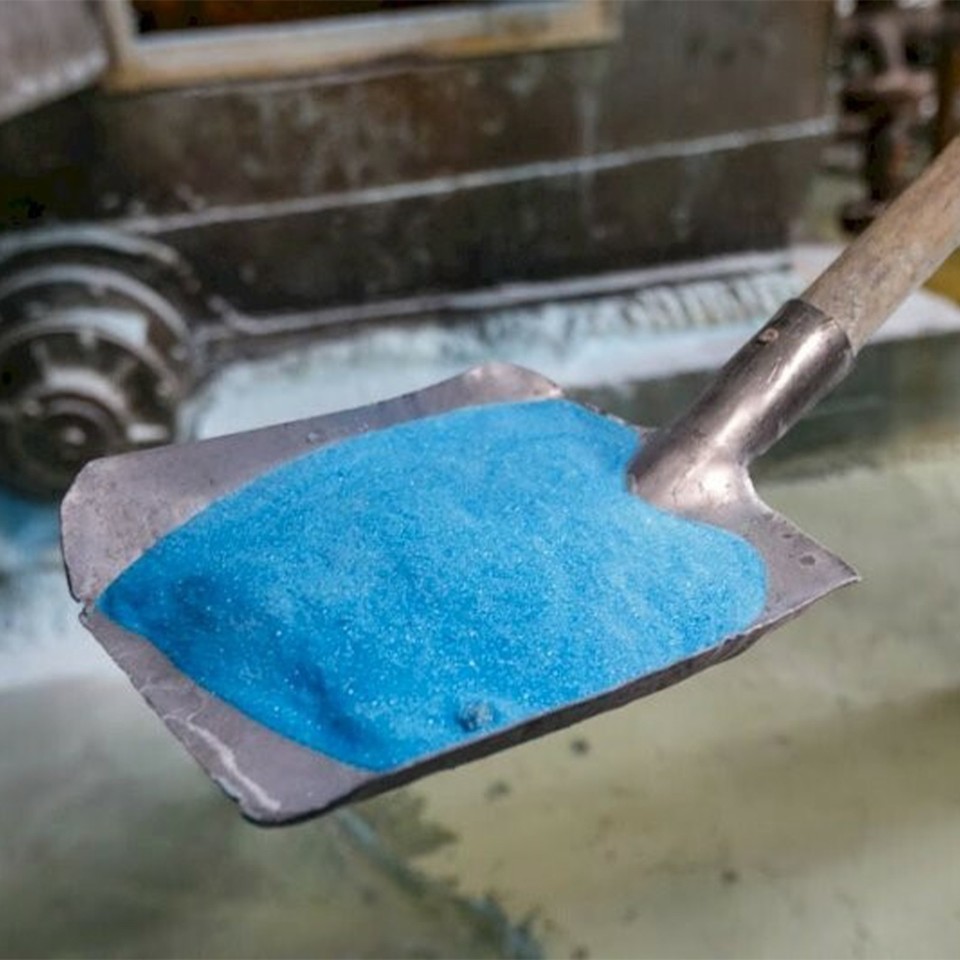 16.5 LBs Copper Sulfate Fine Crystals, Powder 99% Pure Granular (7.5 kg ...