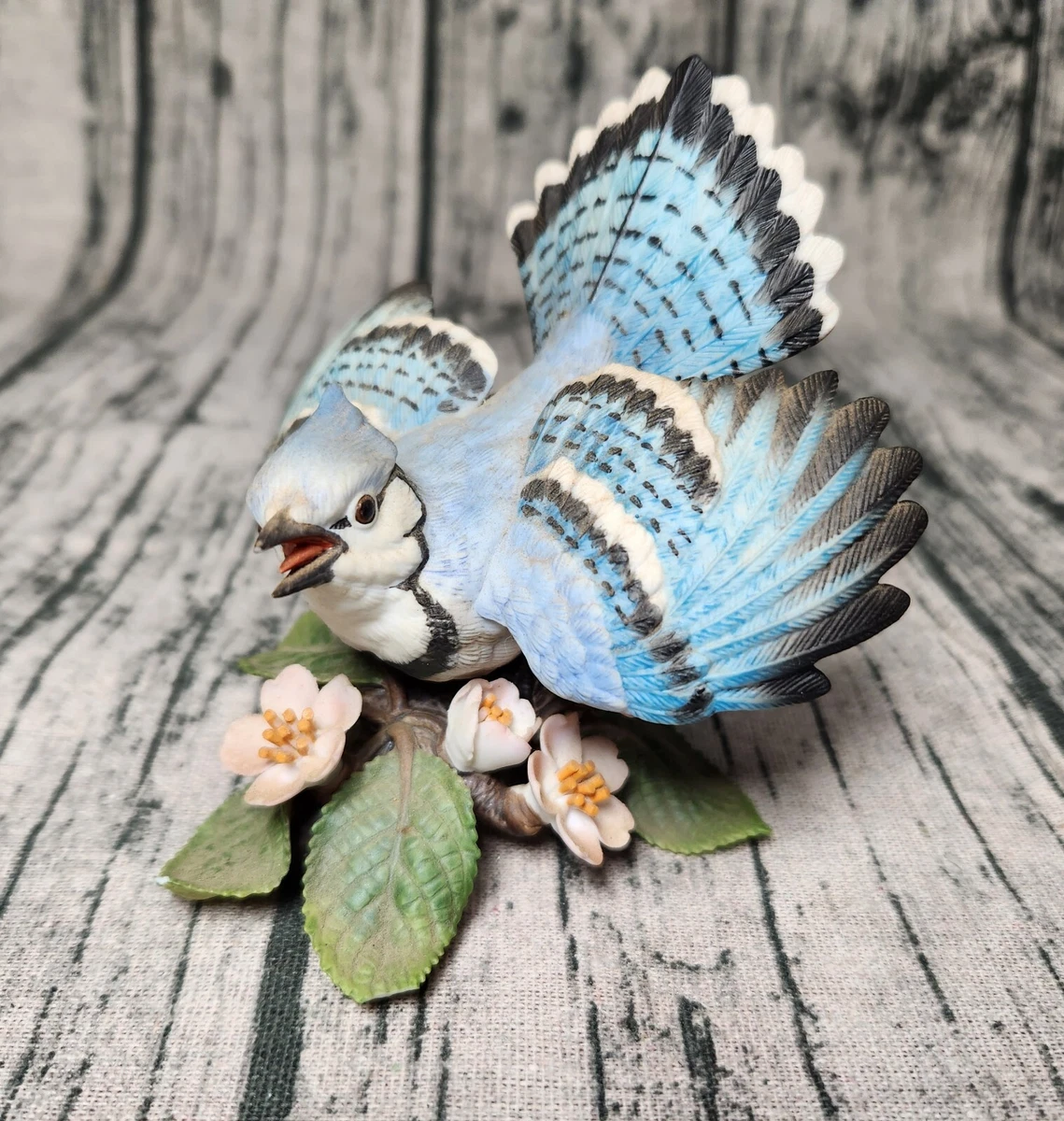 Blue Jay Wings Spread