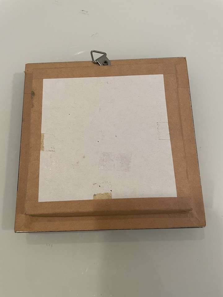 Spotted Swordtail Butterfly Taxidermy Display 3” X 3” Decor Decorative ...