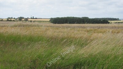 Photo 6x4 Arable land, Dunstan Square Dunstan/NU2419 The field appears ...