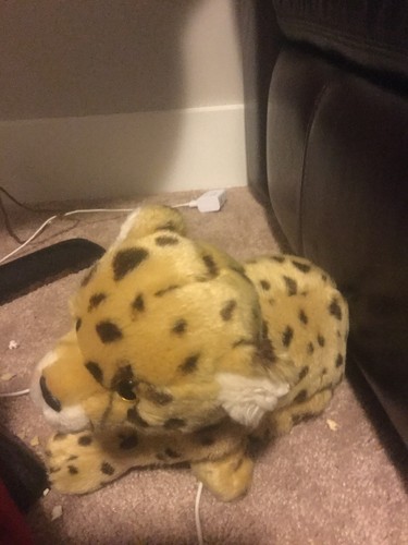 Webkinz Signature Cheetah for sale online | eBay