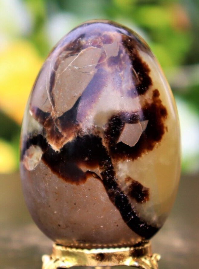 70MM Yellow Septarian Egg Septaria Septeyre Chakra Crystal Healing ...