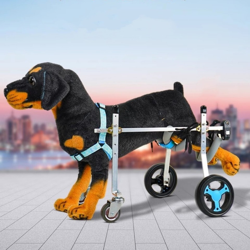 Dog Wheelchair 4 Wheels Small/Medium Pet Trolley For Dogs | eBay