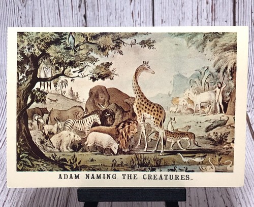 Adam Naming The Creatures Animals Art Print Postcard | eBay