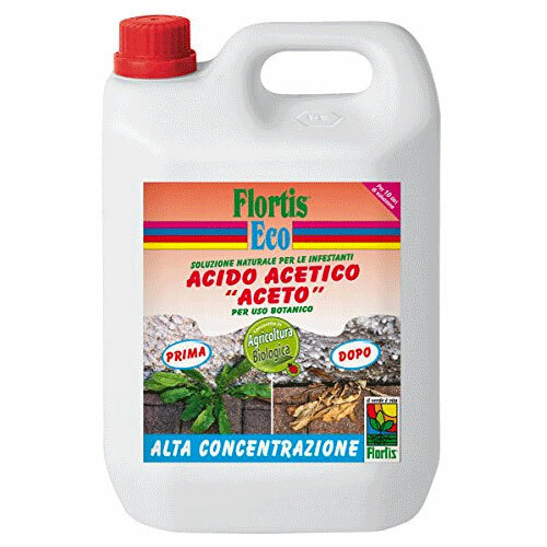 Flortis aceto Concentrato 5lt (effetto Diserbante) | Acquisti Online su ...