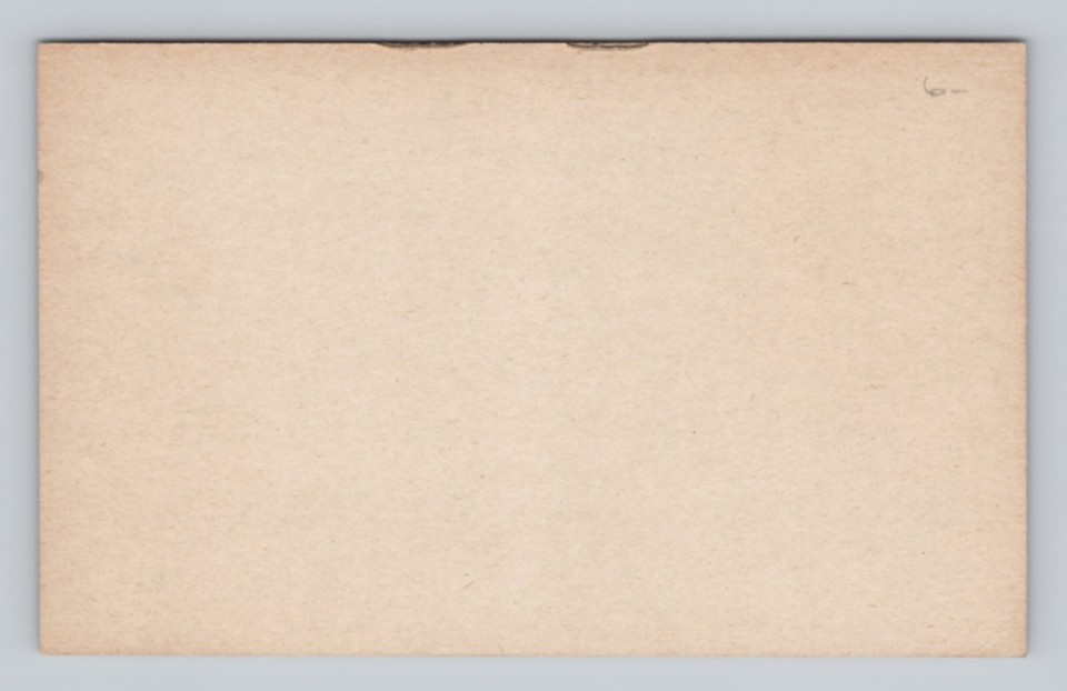 MUTOSCOPE Arcade Card I GOT A LITTLE BEHIND... Zoe Mozert Artist Pin-Up ...