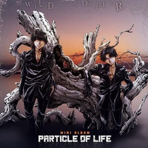 Used Anime Cd Wild Adapter / Particle Of Life -Wild Mini Album- | eBay