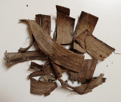 Natural Moroccan Siwak Walnut Tree Bark Fresh Traditional Miswak ...