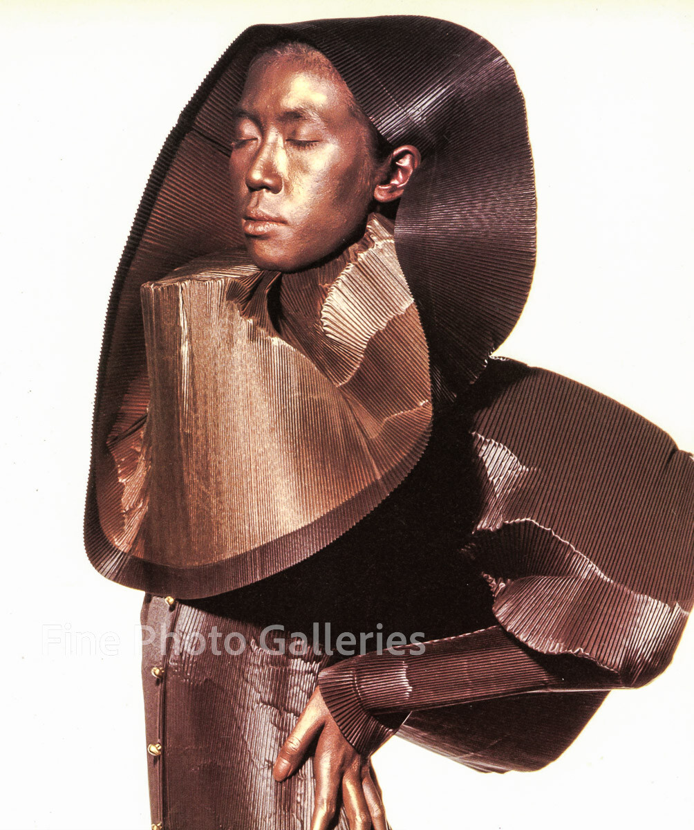 1990s Vintage IRVING PENN Female Fashion Miyake Dress Japan Photo ...