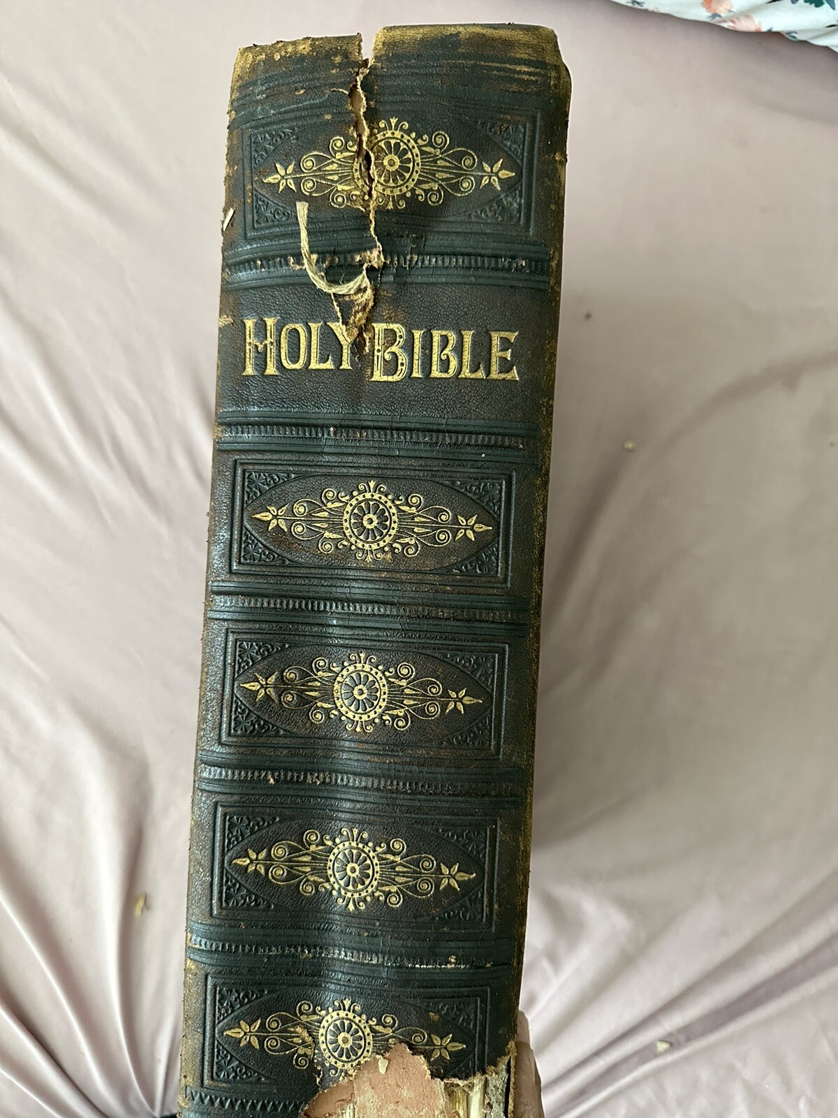 RARE Vintage Parallel Column Family Holy Bible W/Pictorial ...
