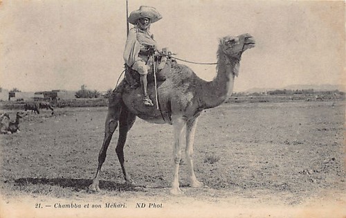 Algérie - Châamba et son méhari - Ed. Neurdein ND Phot. 21 | eBay