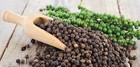 Ceylon Black Pepper High Quality 100% Pure Natural Organic Ceylon ...