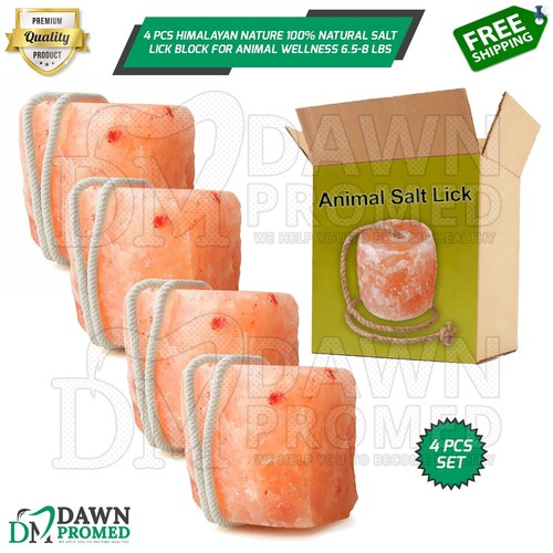 4 Pcs Himalayan Pink Salt 100% Natural Lick Blocks For Animal Wellness ...