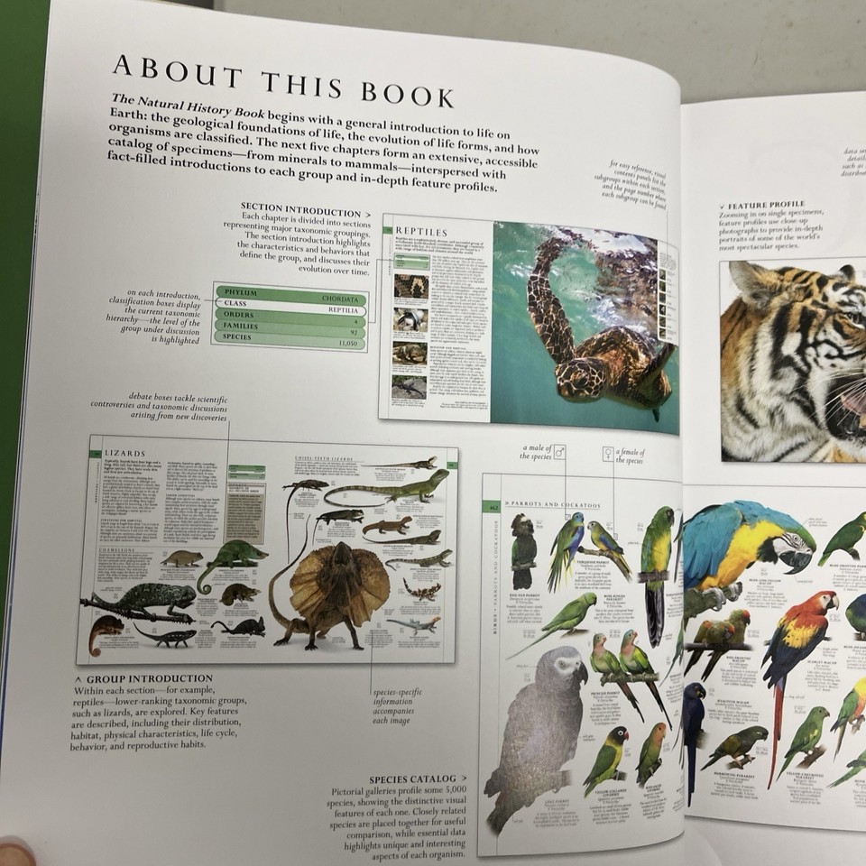 DK Smithsonian Natural History The Ultimate Visual Guide To Everything ...