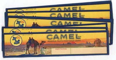 25 Camel Brand Cherry Crate Labels, Penryn Placer County Wholesale | eBay
