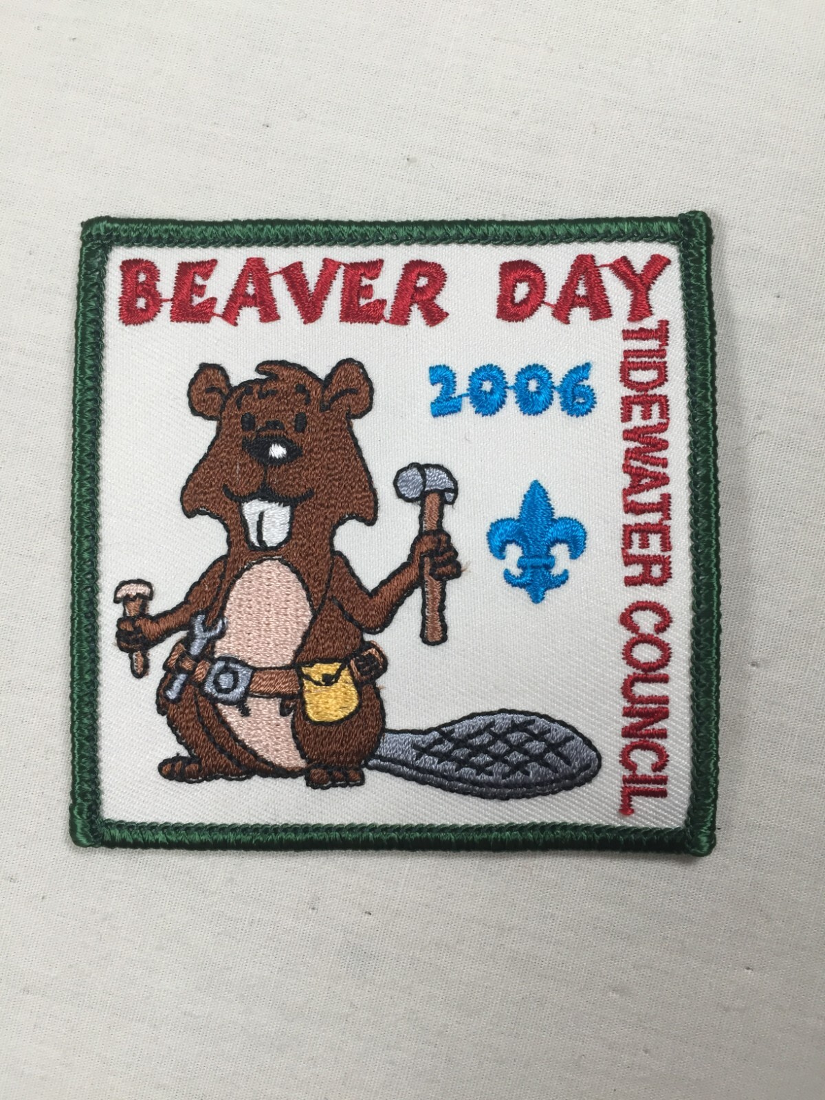 2006 Tidewater Council Beaver Day BSA Activity Patch | eBay