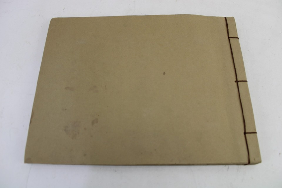 Antique Pin Pricking Pattern Sample Book Scrapbook 29 Prick Pages | eBay