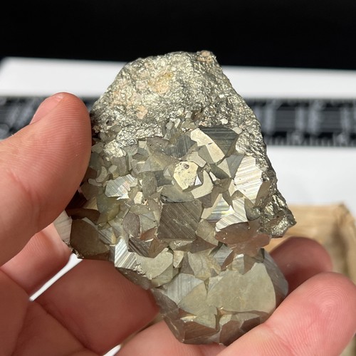 Pyrite Cluster Leonard Mine Butte, Montana Eugene Schlepp Tucson, Az ...