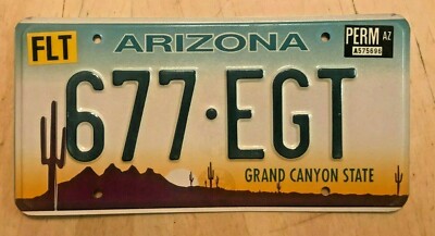ARIZONA FLEET GRAPHIC CACTUS AUTO LICENSE PLATE " 677 EGT " AZ | eBay