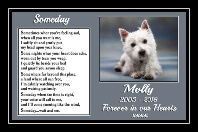 Pet Dog Memorial Personalised Gift Someday Rainbow Bridge pet loss ...