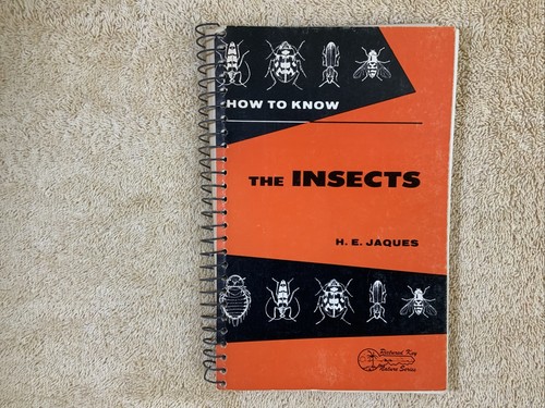 HOW TO KNOW THE INSECTS by H.E. Jacques 1947 PICTURED KEY NATURE SERIES ...